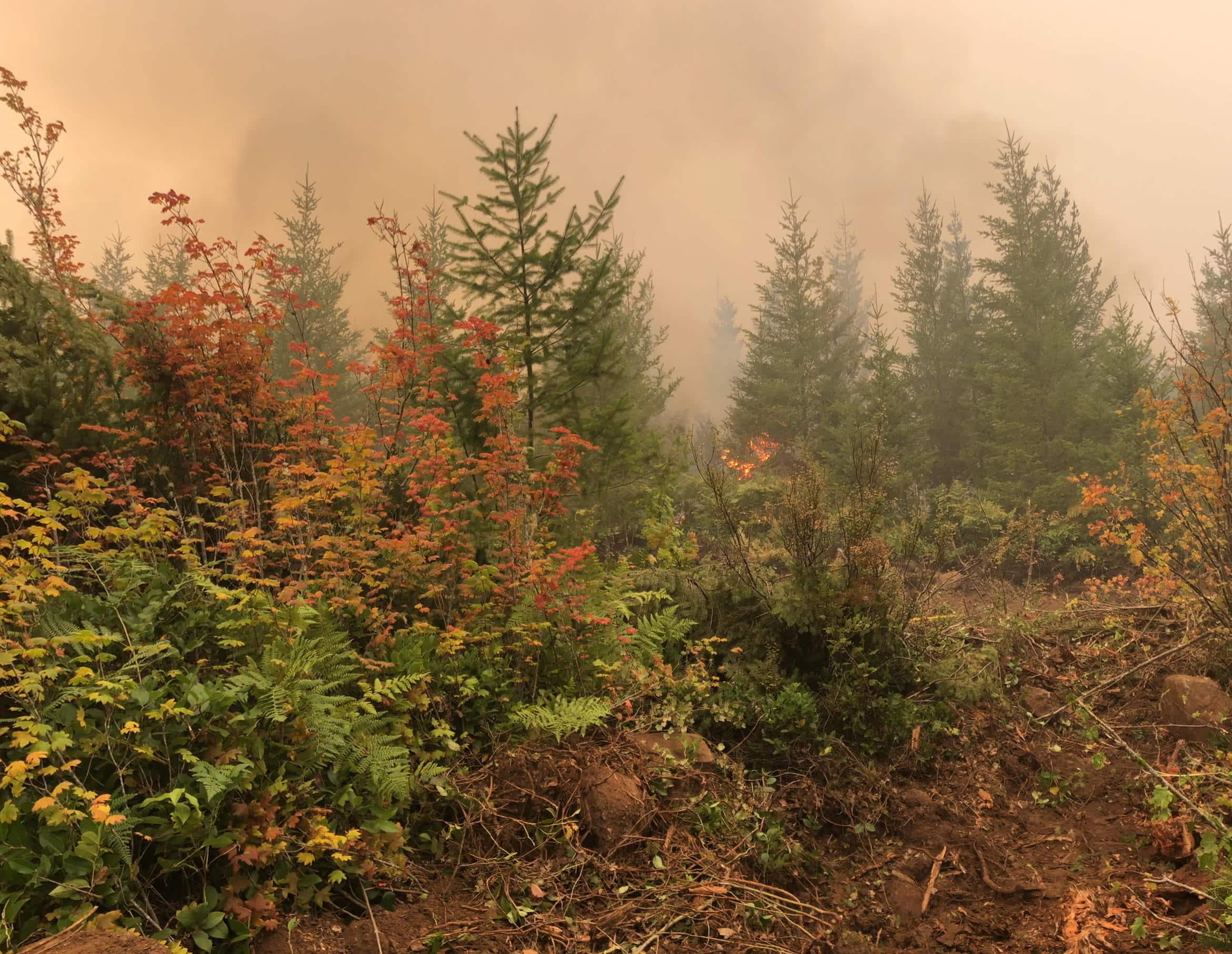 Santiam Fire - K&E Excavating